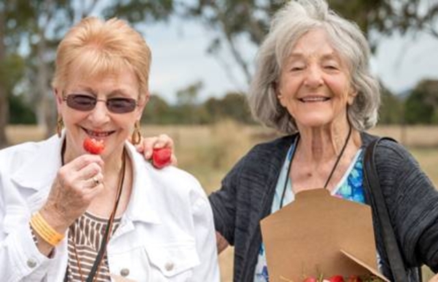 Embracing social connection: The vitality of seniors' health and ...