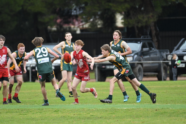 Balaklava makes bold breakthrough | Plains Producer