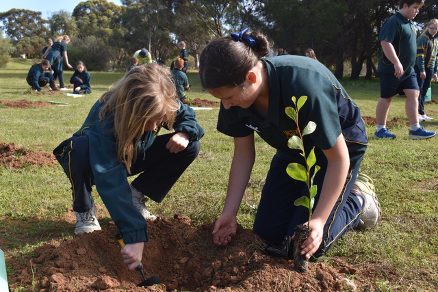 Horizon students plant for future | Plains Producer