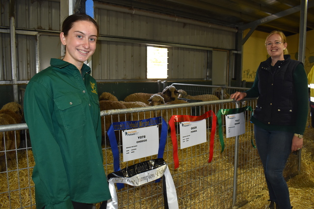 Livestock future on the Horizon | Plains Producer