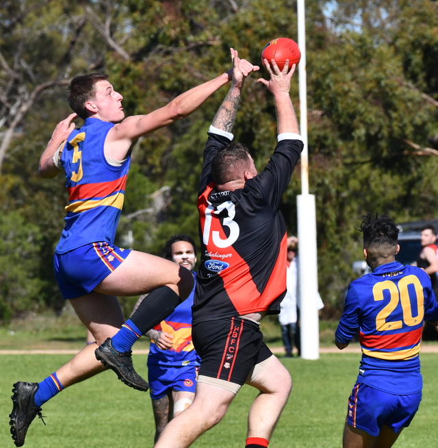 Eagles nest built up for future | Plains Producer